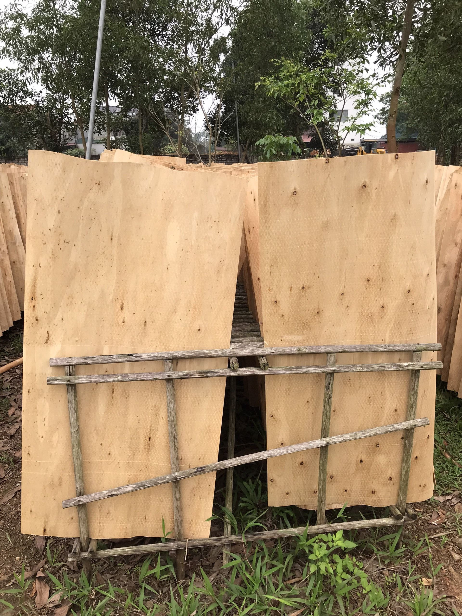 Buy Eucalyptus And Acacia Core Veneer Origin Vietnam At The Cheapest ...