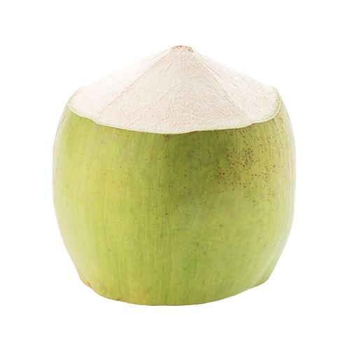 Buy Fresh Young Aromatic Coconut From Thailand from Food Farm Hub ...