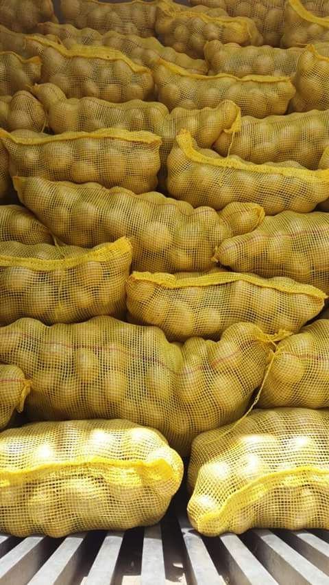 Buy Fresh Potatoes from Eagle Pak International, Pakistan | Tradewheel.com