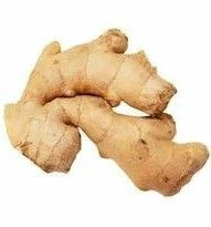 Buy Ginger from Alliance Food Comapany, Algeria | Tradewheel.com