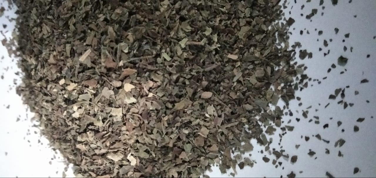Buy Basil Leaves from Bright Star Herbs, Egypt | Tradewheel.com