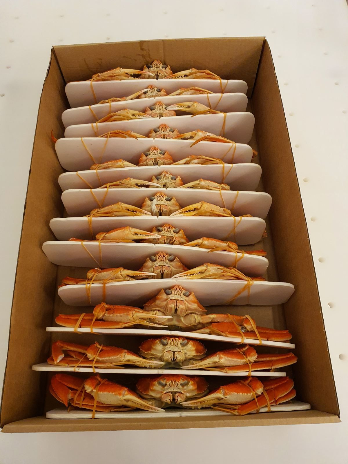Buy Whole Cooked Frozen Crab from Dynamic Trading Co., Ltd, South Korea ...