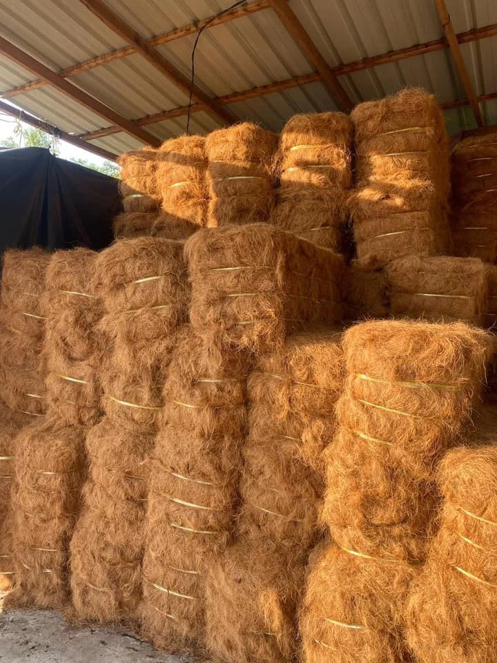 Buy Coconut Coir Fiber Coco Fiber from PT Gemilang Internasional ...