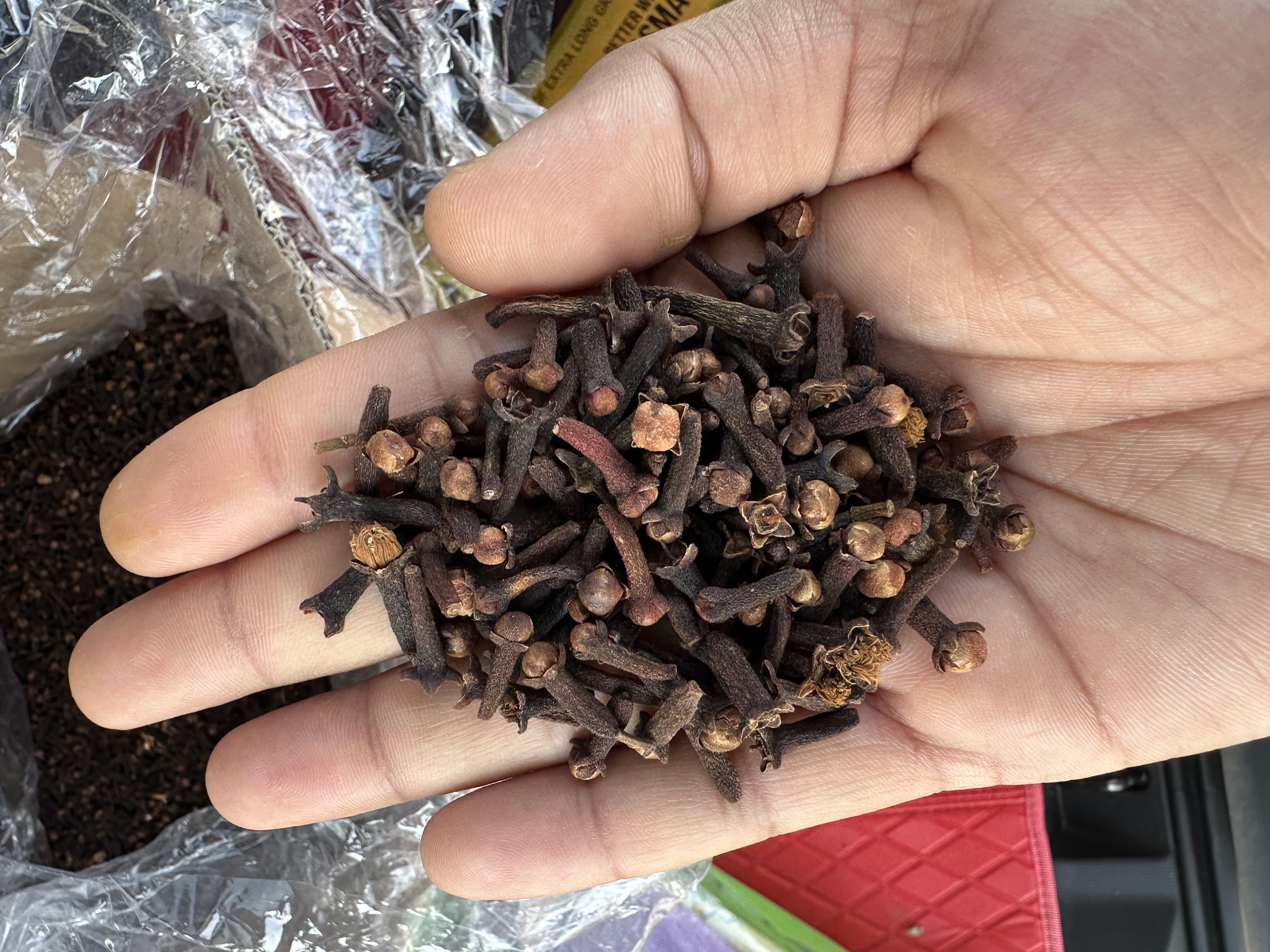 Buy Cloves from Exim Synergy General Trading LLC, United Arab Emirates ...
