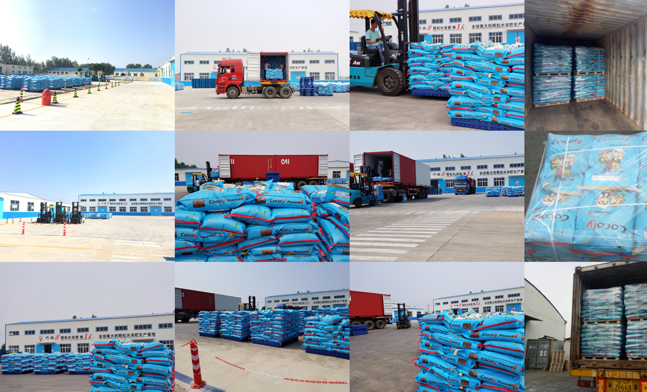 Buy Cocoly Fertilizer from Shandong Cocoly Fertilizer Co., Ltd., China ...