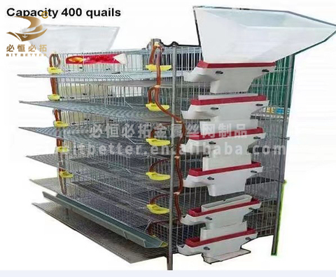 Buy 2021 High-carbon Wire Quail Cage For Lay Hen For Quail Breeding For ...