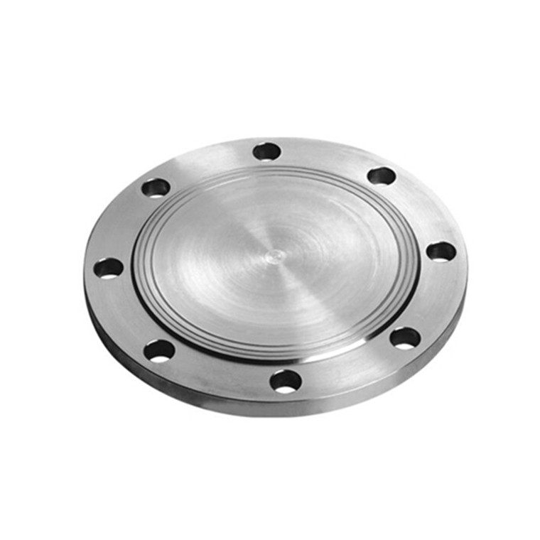Buy 904l Class1500 Dn 200 Forged Stainless Steel Blind Flange In ...