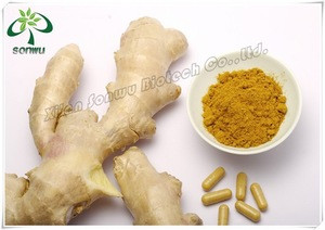 Buy Ginger Extract Powder/red Ginger Extract from Xian Sonwu Biotech Co ...