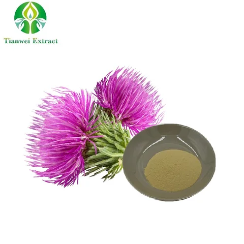 Buy High Quality Milk Thistle Extract 80% Silymarin Milk Thistle Powder ...