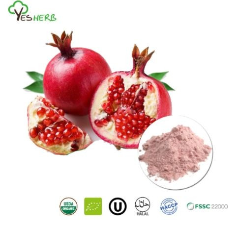 Buy Pomegranate Powder from Xi'an Yuensun Biological Technology Co ...