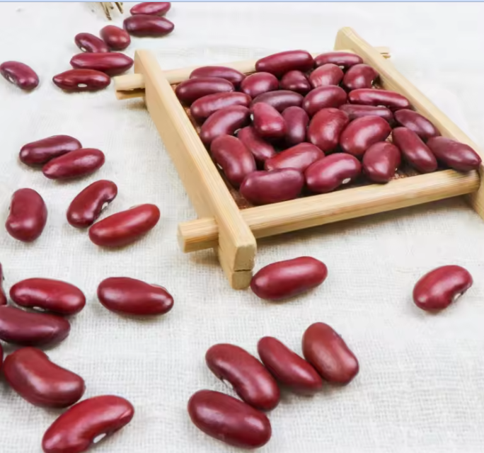 Buy Red Kidney Beans Export Price Hot Sale Red Kidney Beans With High ...