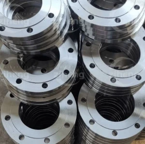Buy Pt Flange from Cangzhou Ziheng Pipeline Manufacturing Co., Ltd ...