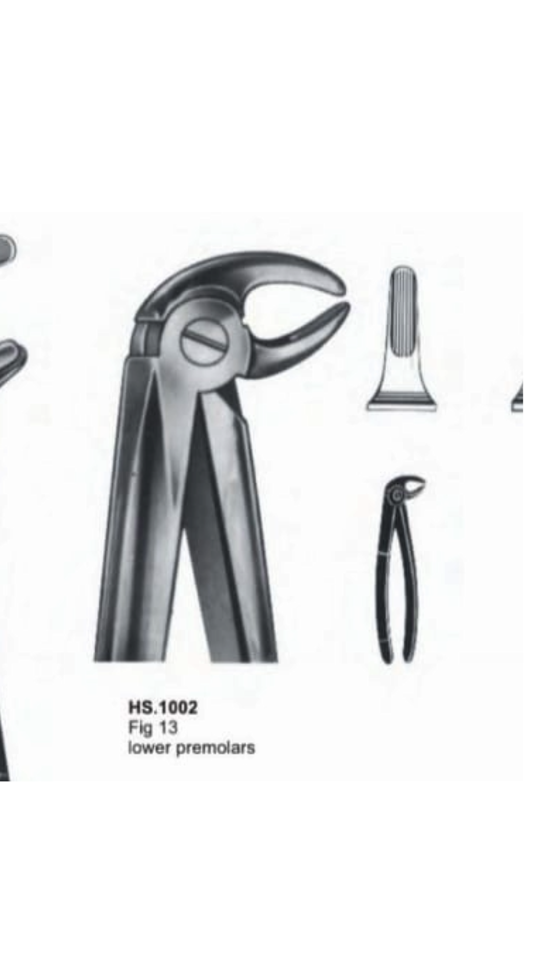 Buy Dental Extraction Forceps Lower Premolars & Upper Molars from ...