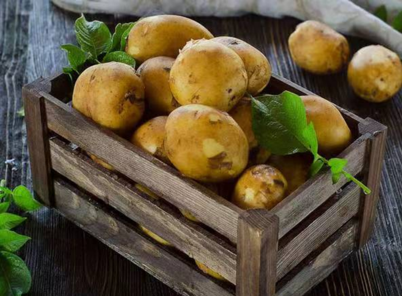 Buy Fresh Potatoes from Shanxi Ruobin Network Technology Co., Ltd ...