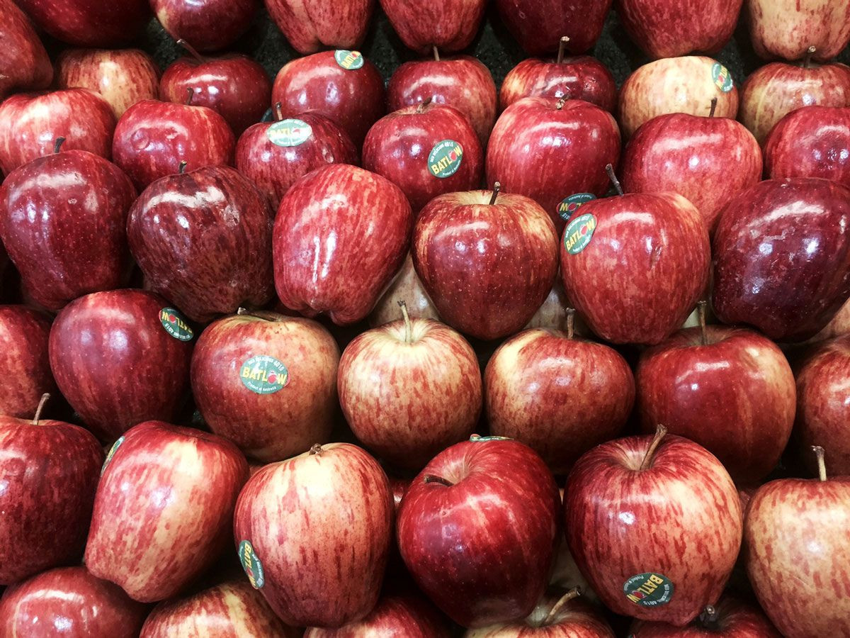 Buy High Quality Fresh Red Delicious Apples Grade A from Bright Future ...