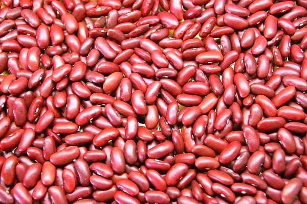 Buy Quality Bulk Supply Of Red Kidney Beans Small Red Beans Export ...