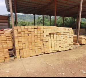Buy Milicia Excelsa from Rickles sarl, Cameroon | Tradewheel.com