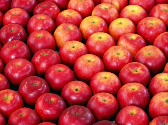 Buy 2025 New Crop Fresh Red Apple Fruit Fresh Fuji Apple Factory Price Red Apples from Beda ...