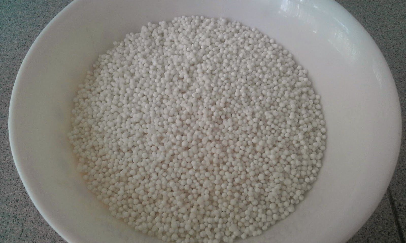 Buy 100% Pure Sago Seeds – Food & Industrial Grade from PLAN MULTIPLE ...