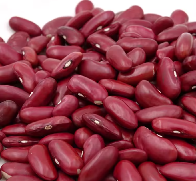 Buy Red Kidney Beans Export Price Hot Sale Red Kidney Beans With High ...