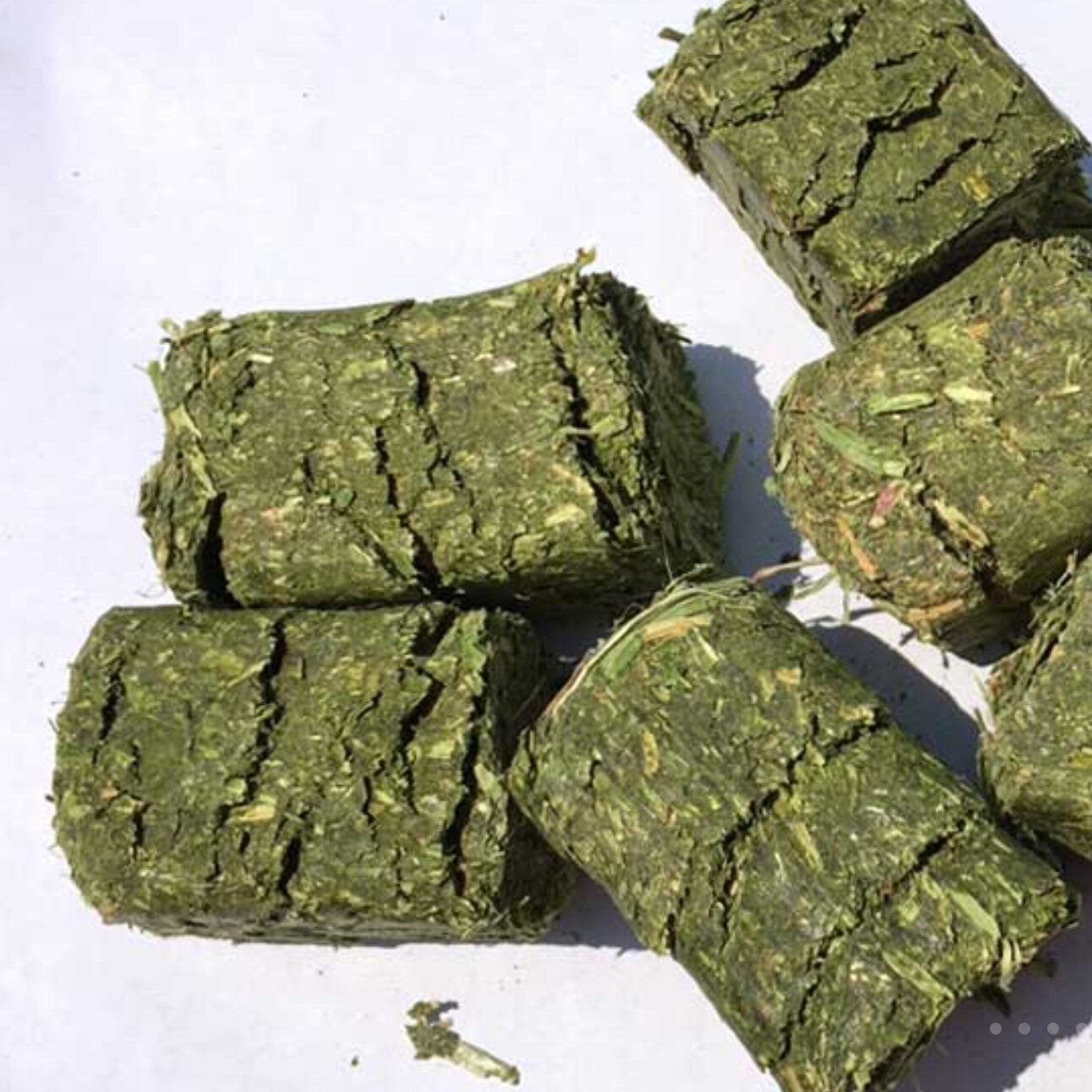 Buy Export Bulk Alfalfa Hay Natural High Protein Alfalfa Hay For Horses ...