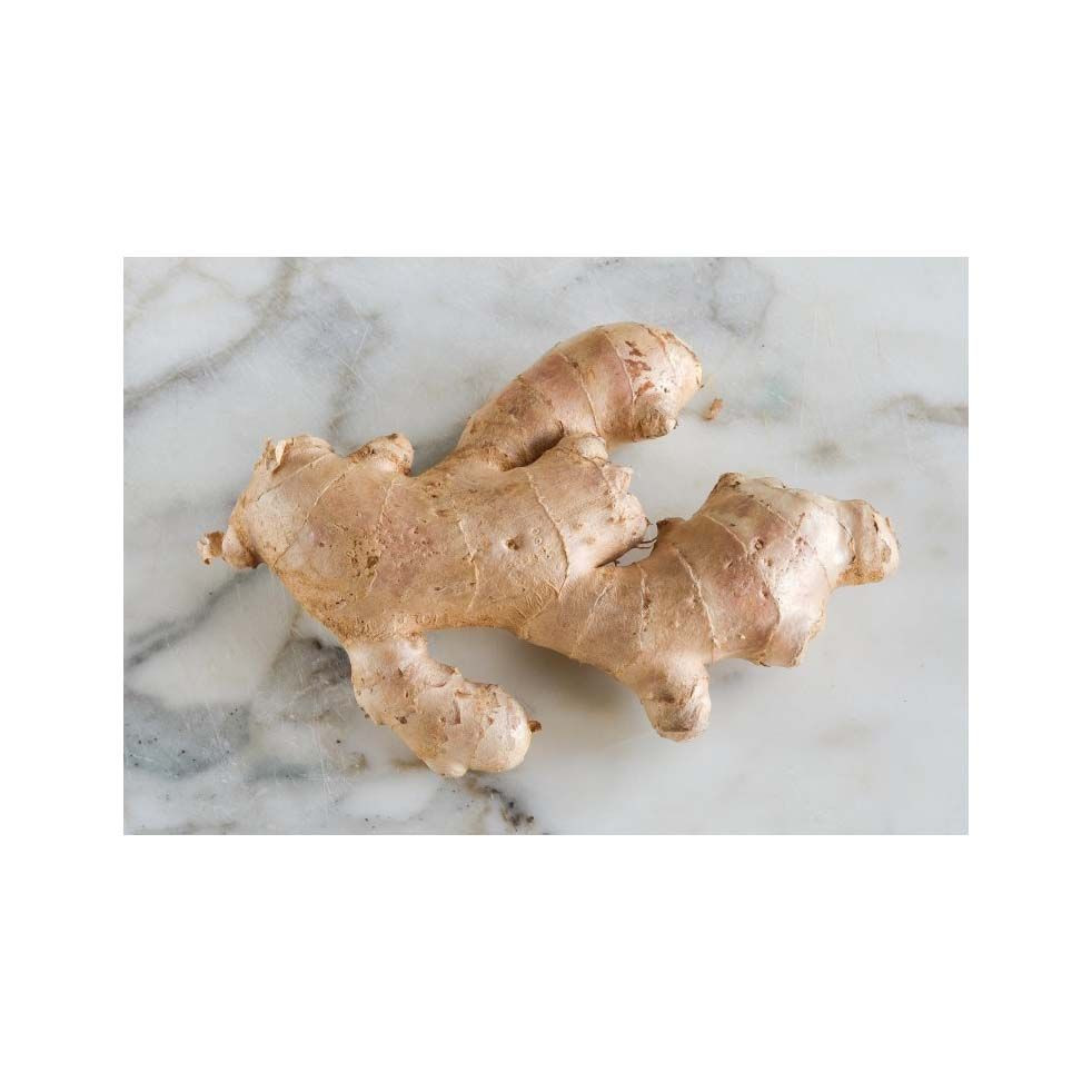 Buy Organic Mango Ginger from Afrivet Trading Services, South Africa ...