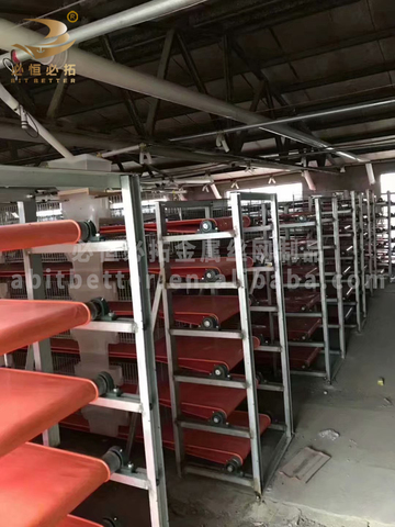 Buy 2021 High-carbon Wire Quail Cage For Lay Hen For Quail Breeding For ...