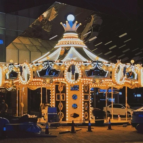 Buy Adult Carousel,electric Merry Go Round,park Carousel,automatic ...