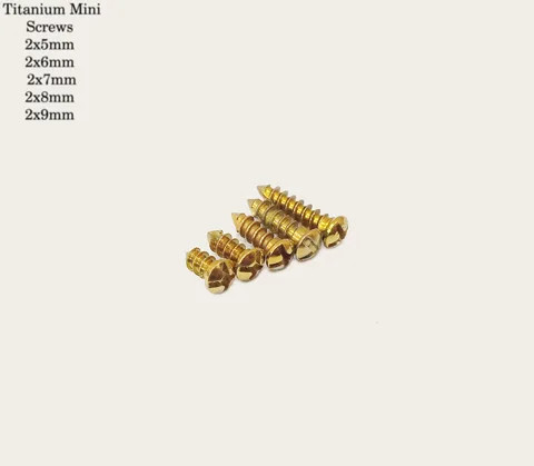 Buy Best Quality Titanium Mini Screws Titanium Surgical Screws Titanium ...