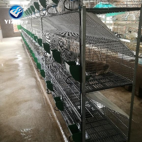 Buy Broiler Poultry Farm House Rabbit Farming Cage For Rabbit Farming ...