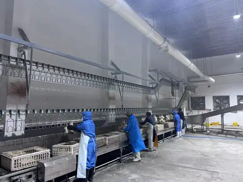 Buy Full-automatic Large Turkey Slaughter Assembly Line Chicken ...