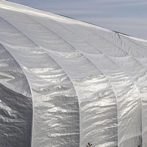 Buy Greenhouse Clear Plastic Film Polyethylene Covering 6 Mil Pe ...
