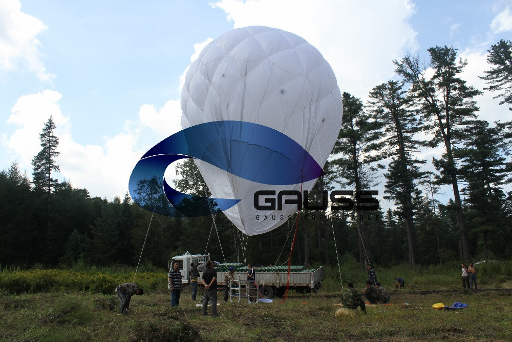 Buy Inflatable Balloon For Pine Nuts/pine Nuts/ Pine Nuts Balloon from ...