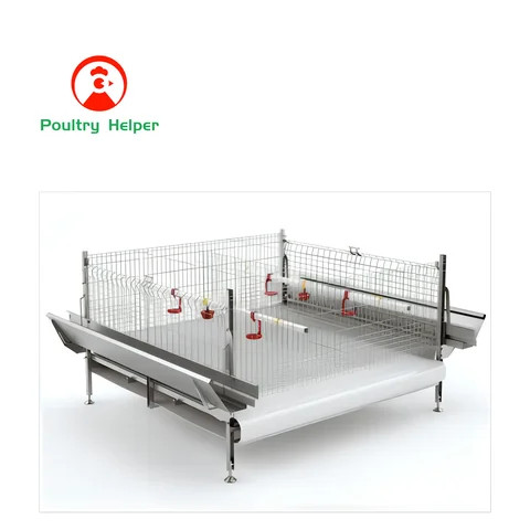 Buy Poultry Helper Poultry Cages For Layer Chickens For 10000 Birds ...