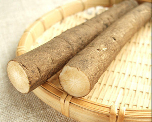 Buy Frozen Dried Burdock Piece, Frozen Vegetable In Best Price from ...