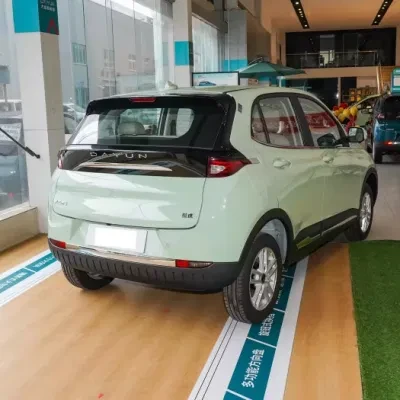 Buy Wholesale New Energy Vehicle 5 Seats Compact Ev Hatchback Dayun ...