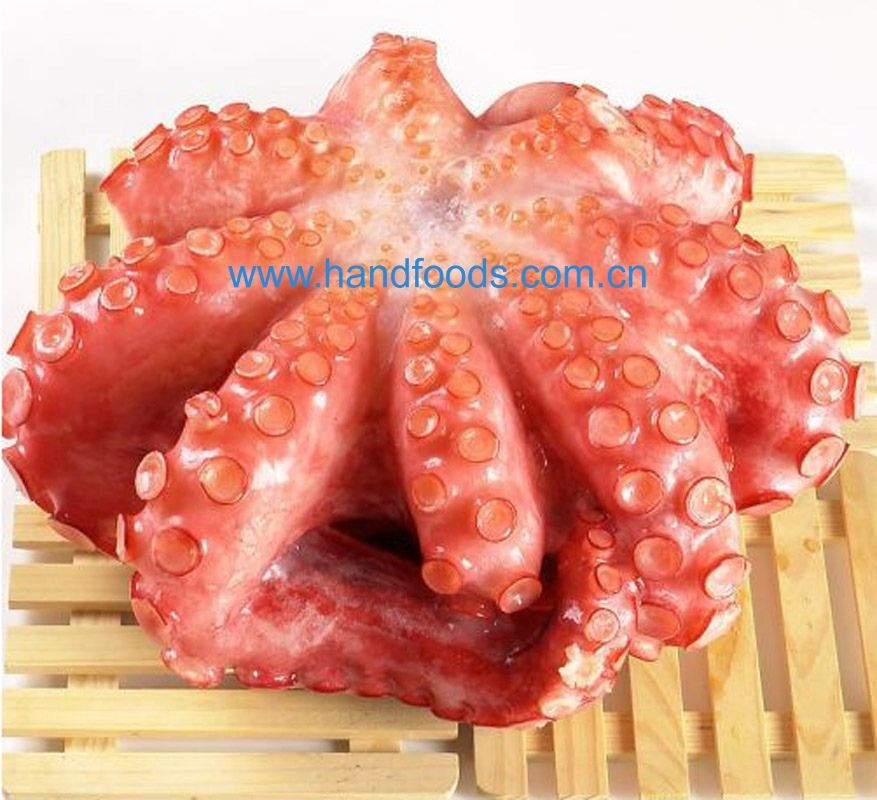 Buy Cooked Gaint Octopus from Hand Foods (Dalian) Co., Ltd., China ...