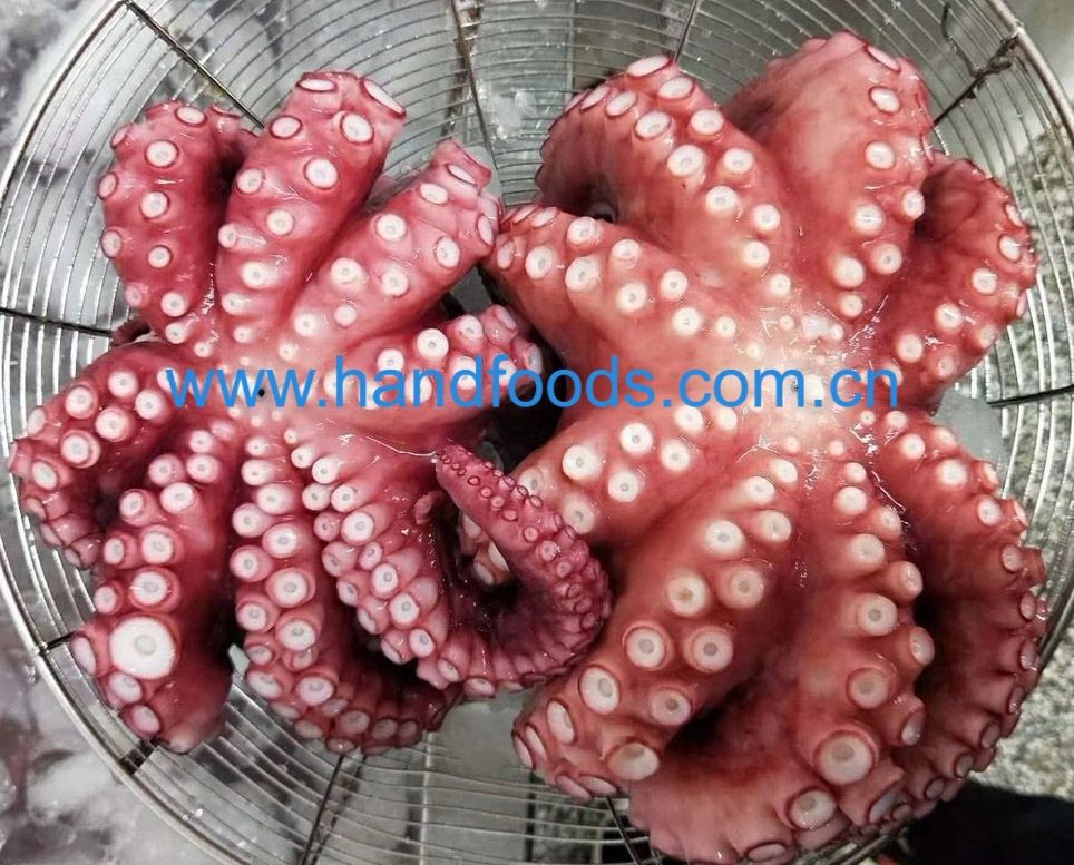 Buy Cooked Gaint Octopus from Hand Foods (Dalian) Co., Ltd., China ...