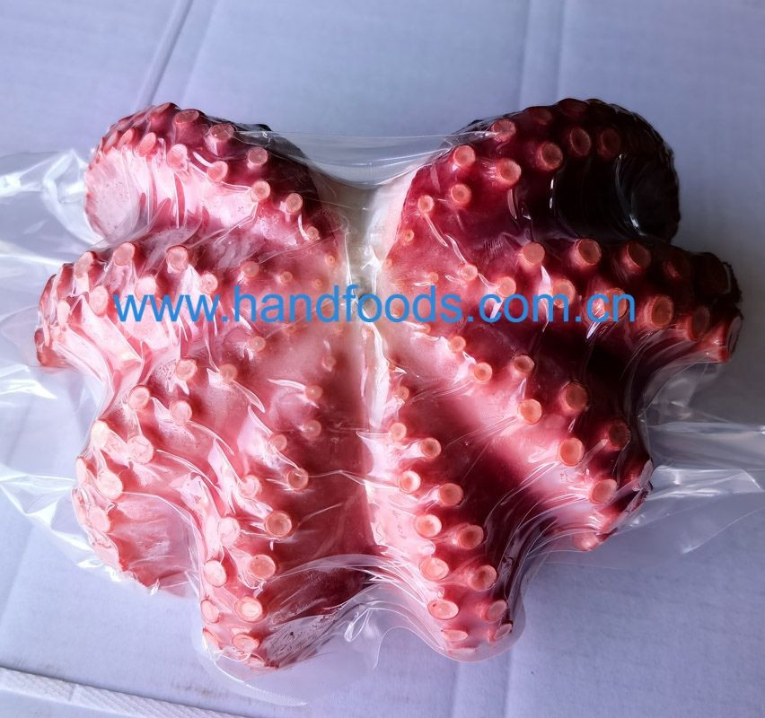 Buy Cooked Gaint Octopus from Hand Foods (Dalian) Co., Ltd., China ...