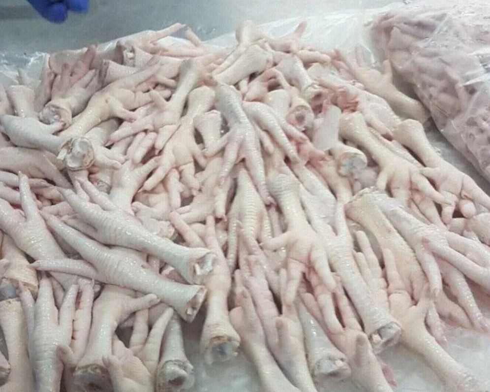 Buy A Grade Frozen Chicken Feet & Paws Available For Buyers from Eco ...