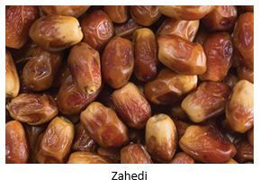 Buy Iranian Dates from Laxamentum, United Arab Emirates | Tradewheel.com