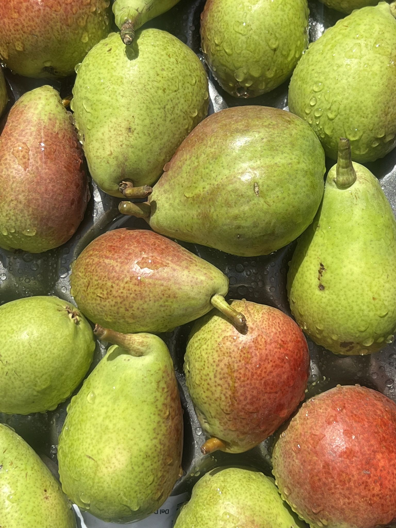Buy Premium Quility South African Pears from NINE FRUITS EXPORTS (PTY ...