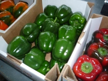 Buy Fresh Capsicum from Green Point for import & export, Egypt ...