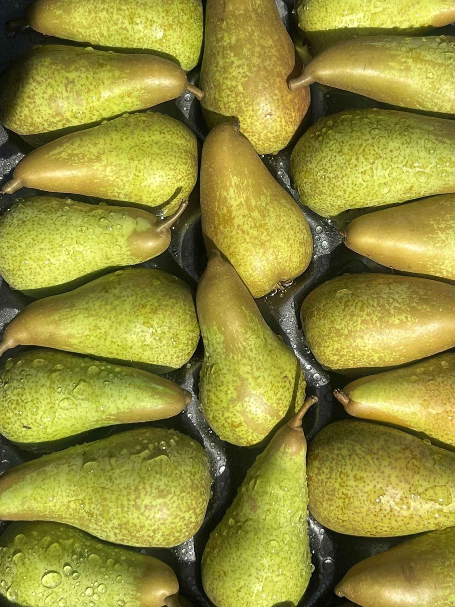 Buy Premium Quility South African Pears from NINE FRUITS EXPORTS (PTY ...