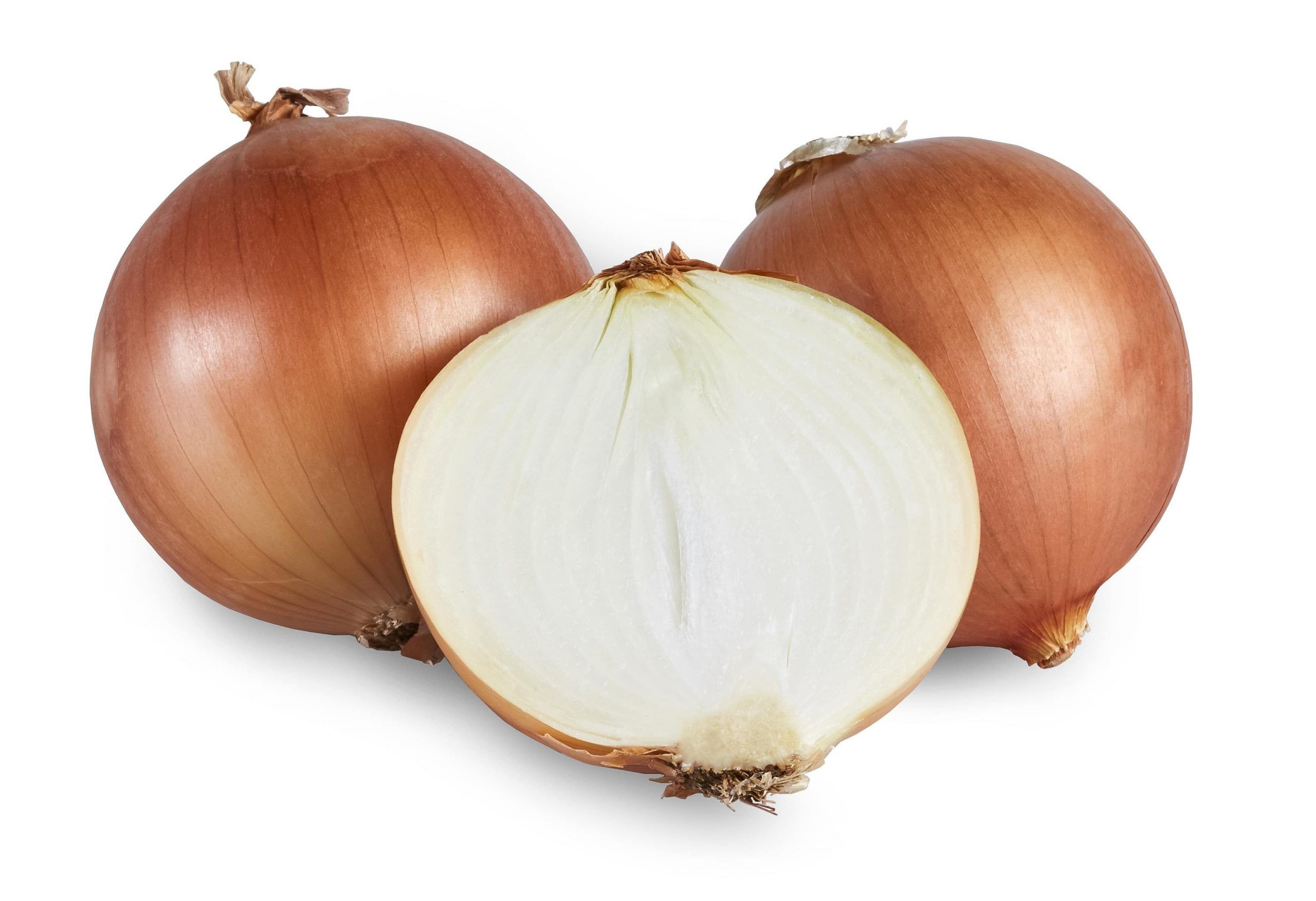 Buy Natural Spanish Onions Supply from Afrivet Trading Services, South ...