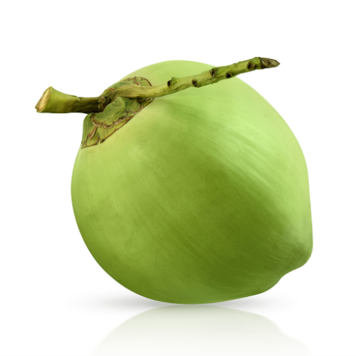 Buy Green Fresh Coconut from Coco Trade Zone Ltd, Bangladesh ...