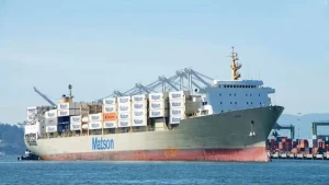 Buy International Logistics Service Ddp Ddu Ocean Shipping From China ...