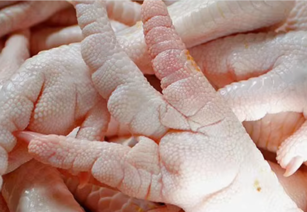 Buy A Grade Frozen Chicken Feet & Paws Available For Buyers from Eco ...