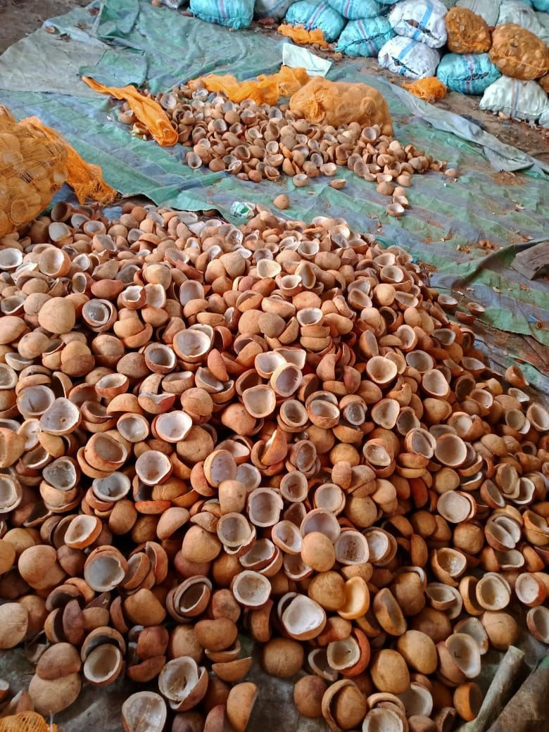 Buy Copra Edible, White, Black from Nimnaga Alam Indonesia, Indonesia ...