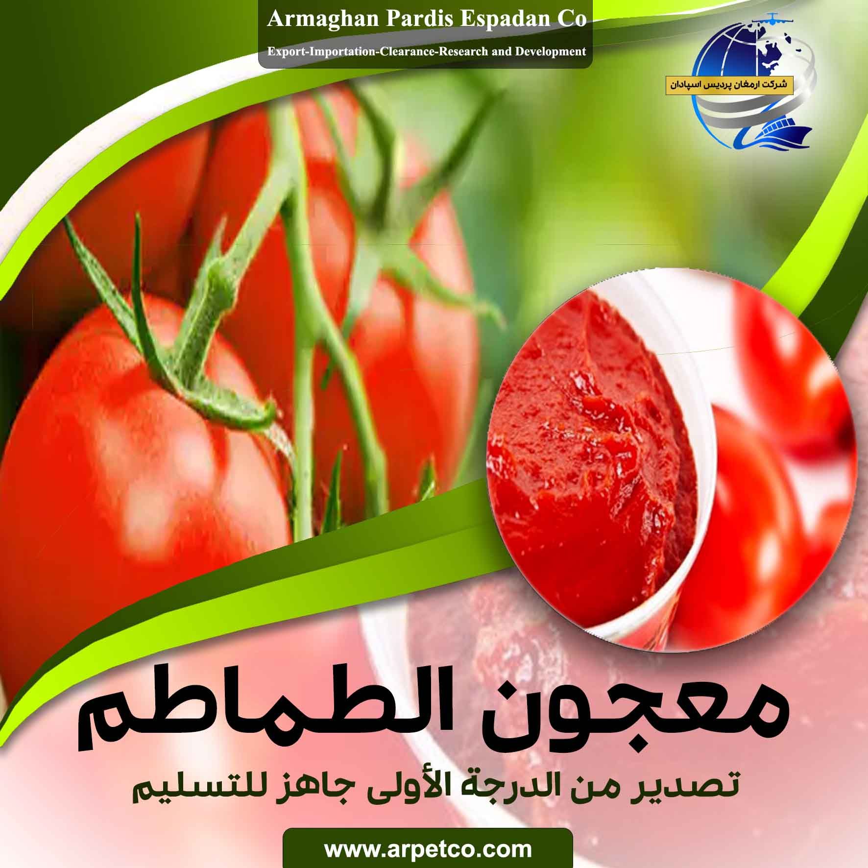 Buy Yummy Taste Tomato Paste Sauce In Best Price from Armaghan Pardis ...